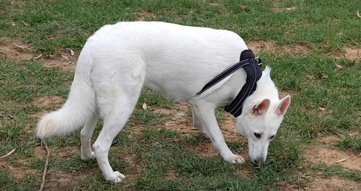 I planned to write. Really, I did. – kevin klehr